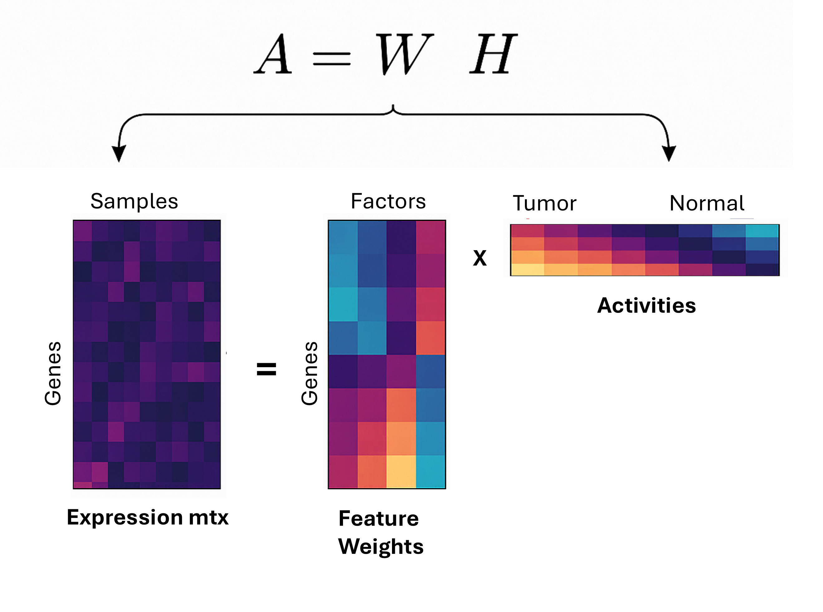 Multi Omics Integration (MOFA) - Part1